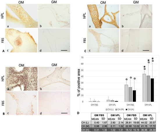 In Vitro Biocompatibility Assessment of Bioengineered PLA-Hydrogel Core ...