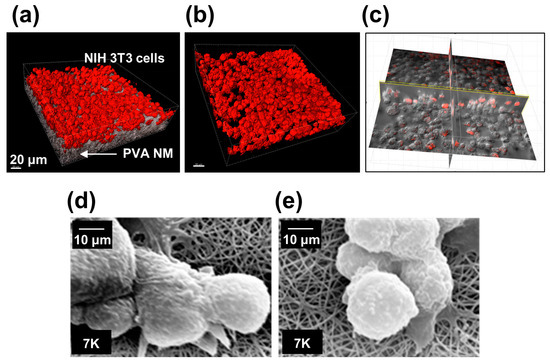 Synthetic Extracellular Matrix of Polyvinyl Alcohol Nanofibers for ...