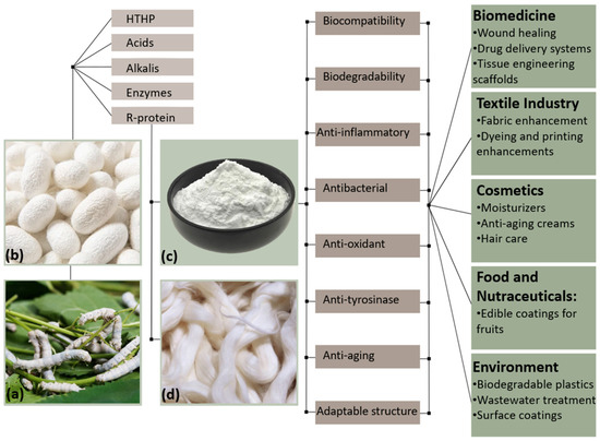 Sericin Protein: Structure, Properties, and Applications