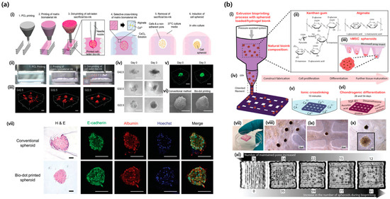 Spheroid Exosome Based Bioprinting Technology In Regenerative Medicine