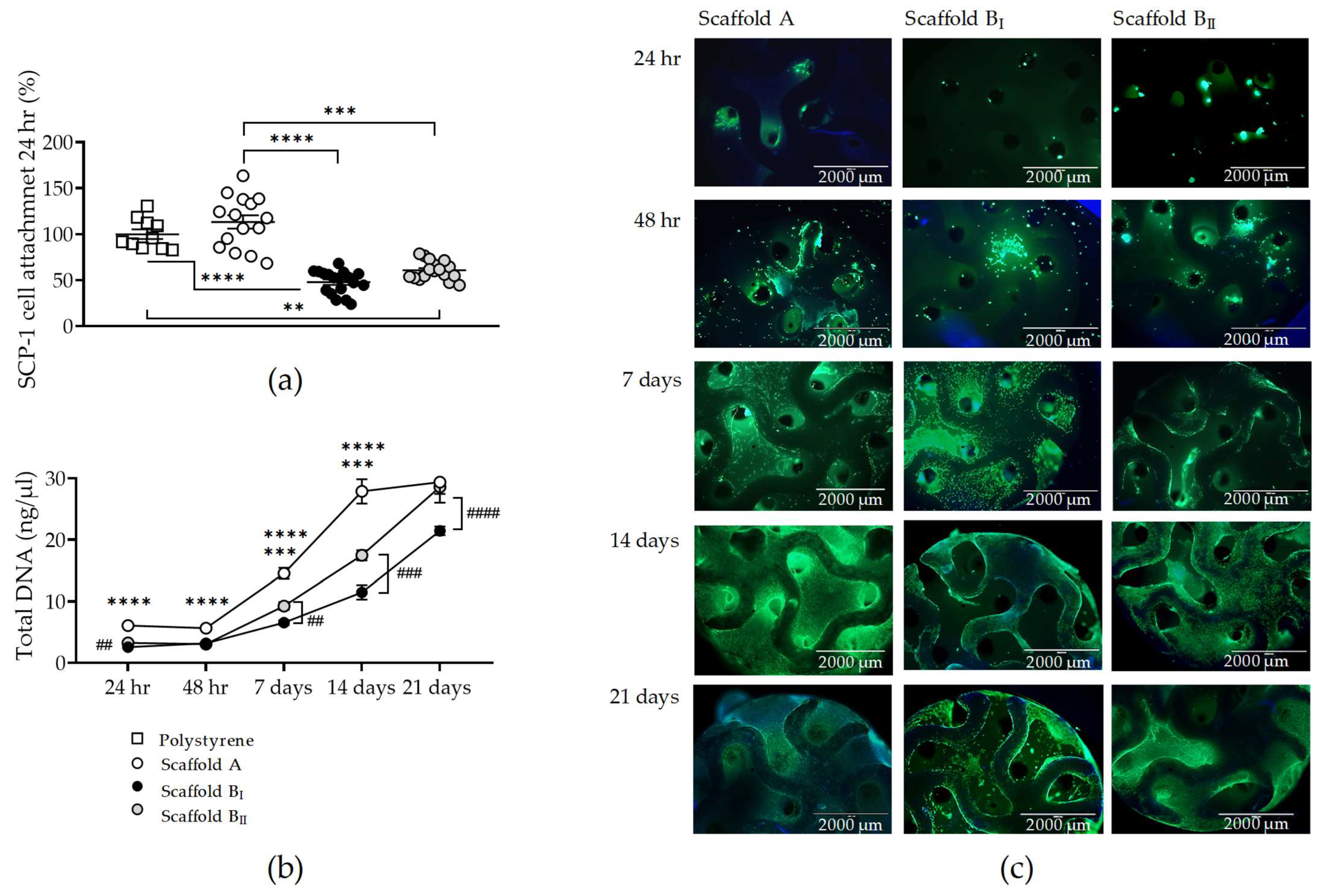 Impact of Particle Size and Sintering Temperature on Calcium Impact of Particle Size and Sintering Temperature on Calcium