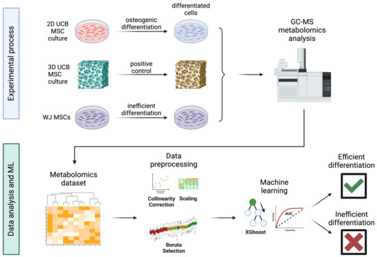 Machine Learning and Metabolomics Predict Mesenchymal Stem Cell ...