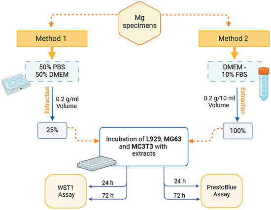 Towards Accurate Biocompatibility: Rethinking Cytotoxicity Evaluation ...