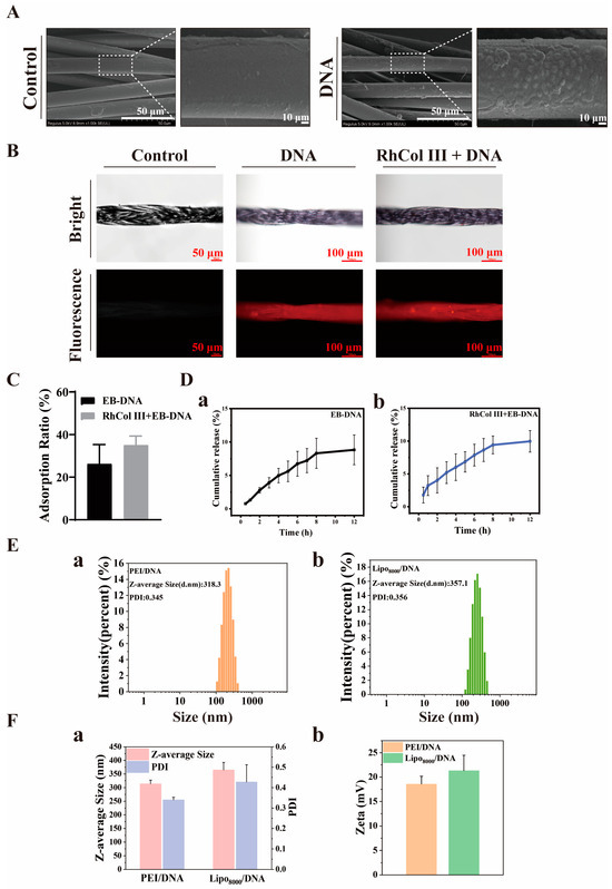 Suture-Mediated Delivery System Reduces the Incidence of Uterine ...