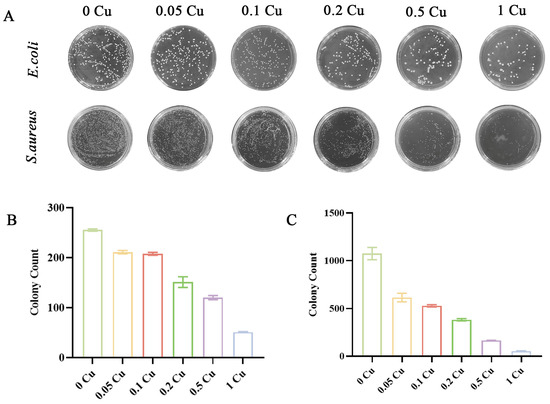 Cu-MOF-Decorated 3D-Printed Scaffolds for Infection Control and Bone ...