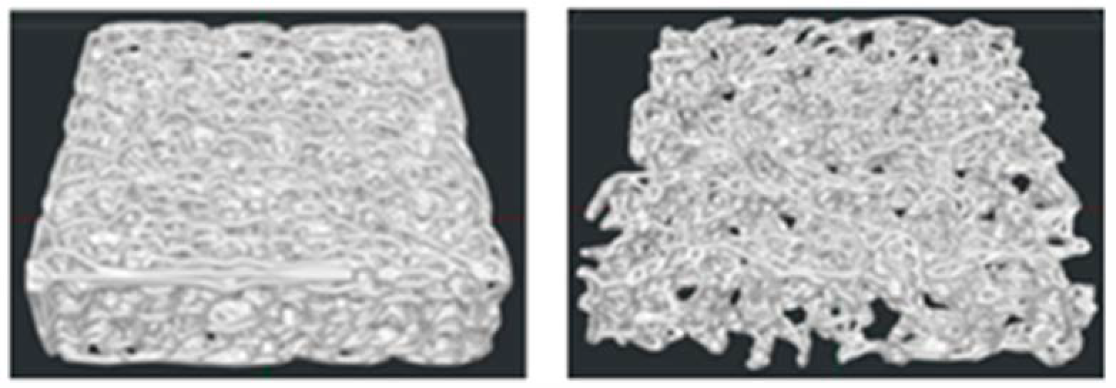 Three-Dimensional-Printed Biomimetic Scaffolds for Investigating Osteoblast-Like Cell ...