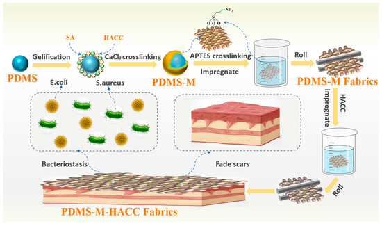 Functional Compression Fabrics with Dual Scar-Suppressing and ...