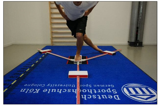 Journal of Functional Morphology and Kinesiology | An Open Access ...