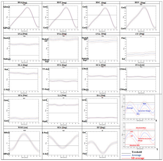 Kinematic Evaluation of the Sagittal Posture during Walking in Healthy Subjects by 3D Motion ...