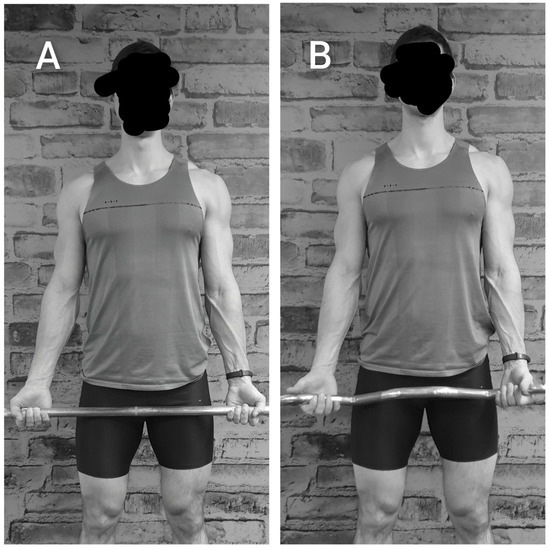 Bilateral Biceps Curl Shows Distinct Biceps Brachii and Anterior ...