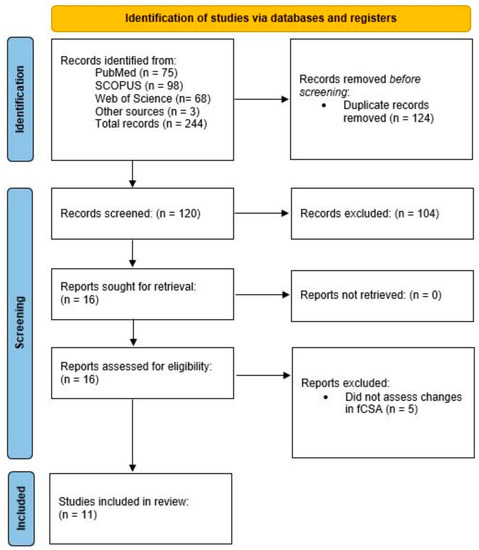Fiber-Type-Specific Hypertrophy with the Use of Low-Load Blood Flow ...