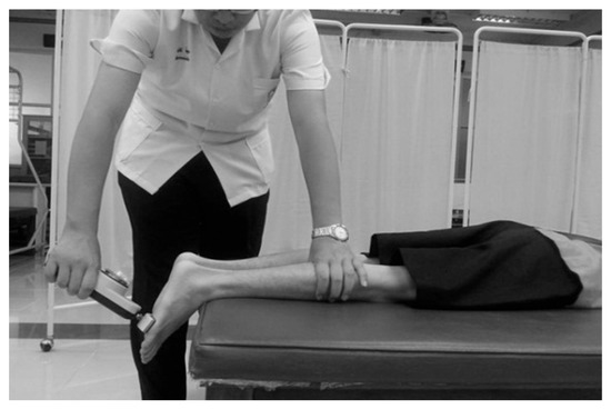 The Influence of Knee Extensor and Ankle Plantar Flexor Strength on ...