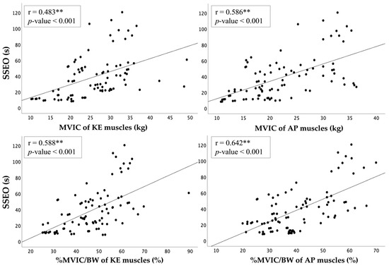 JFMK | Free Full-Text | The Influence of Knee Extensor and Ankle Plantar Flexor Strength on ...