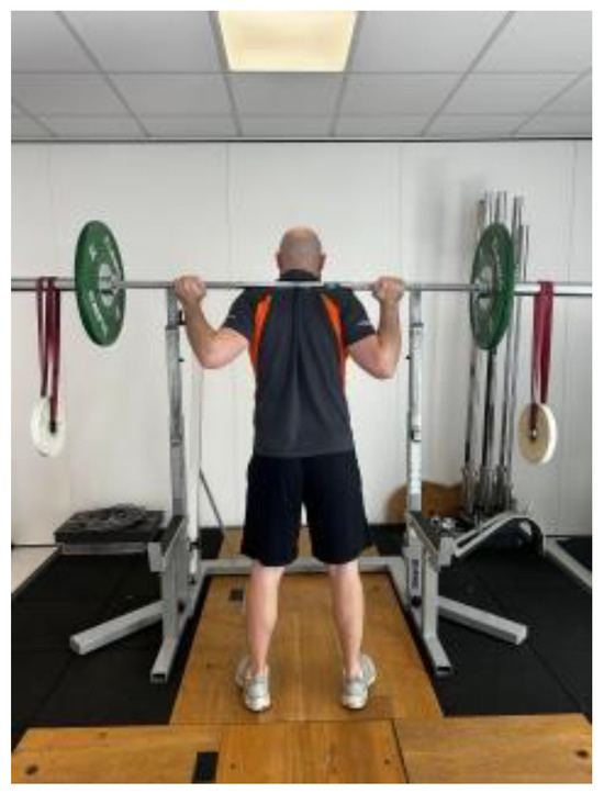 The Influence of Unstable Load and Traditional Free-Weight Back Squat ...