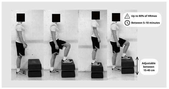StepTest4all: Improving the Prediction of Cardiovascular Capacity ...