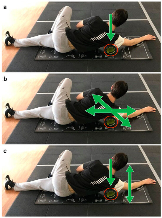 JFMK | Free Full-Text | Inter-Set Foam Rolling of the Latissimus Dorsi ...