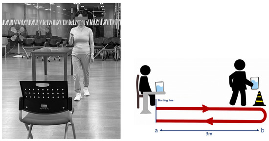 Effects of Instability Neuromuscular Training Using an Inertial Load of ...