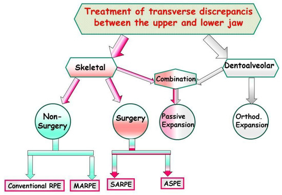 The Complexity of Skeletal Transverse Dimension: From Diagnosis ...