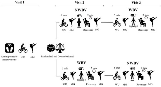 Whole-Body Vibration (WBV) as a Conditioning Activity for Roundhouse ...
