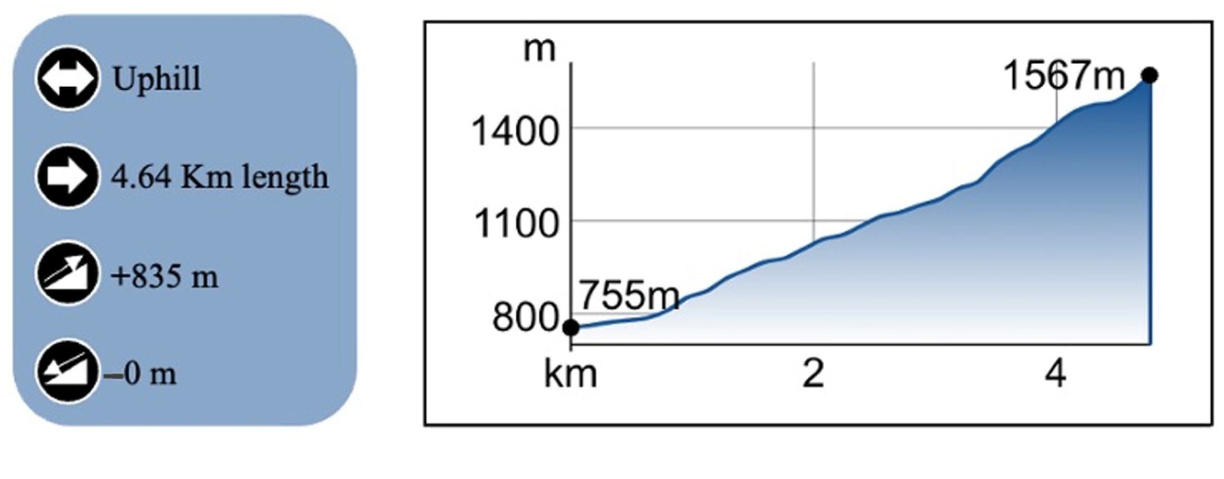 Study of Physiological Adaptations in Vertical Kilometer Runners: Focus ...