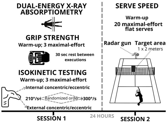 Tennis Serve Speed in Relation to Isokinetic Shoulder Strength, Height ...