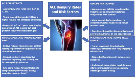 Neurosciences and Sports Rehabilitation in ACLR: A Narrative Review on ...
