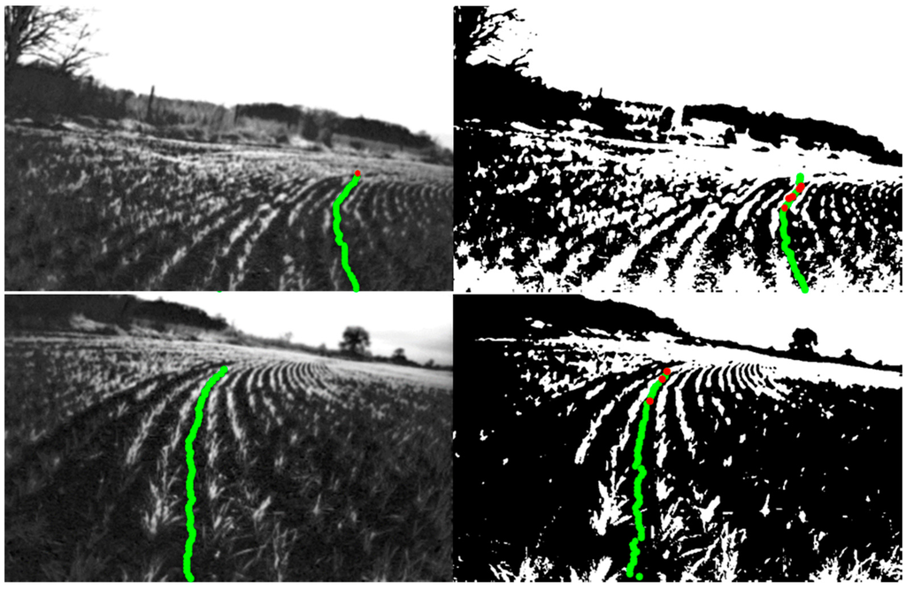 J. Imaging | Special Issue : Image Processing in Agriculture and Forestry