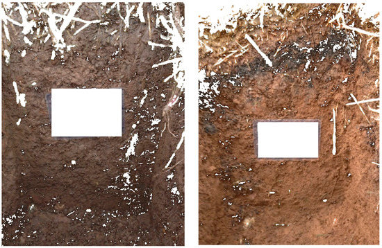 Automated Soil Physical Parameter Assessment Using Smartphone and Digital Camera Imagery