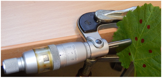 Measuring Leaf Thickness with 3D Close-Up Laser Scanners: Possible or Not?