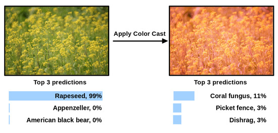 Improving CNN-Based Texture Classification by Color Balancing