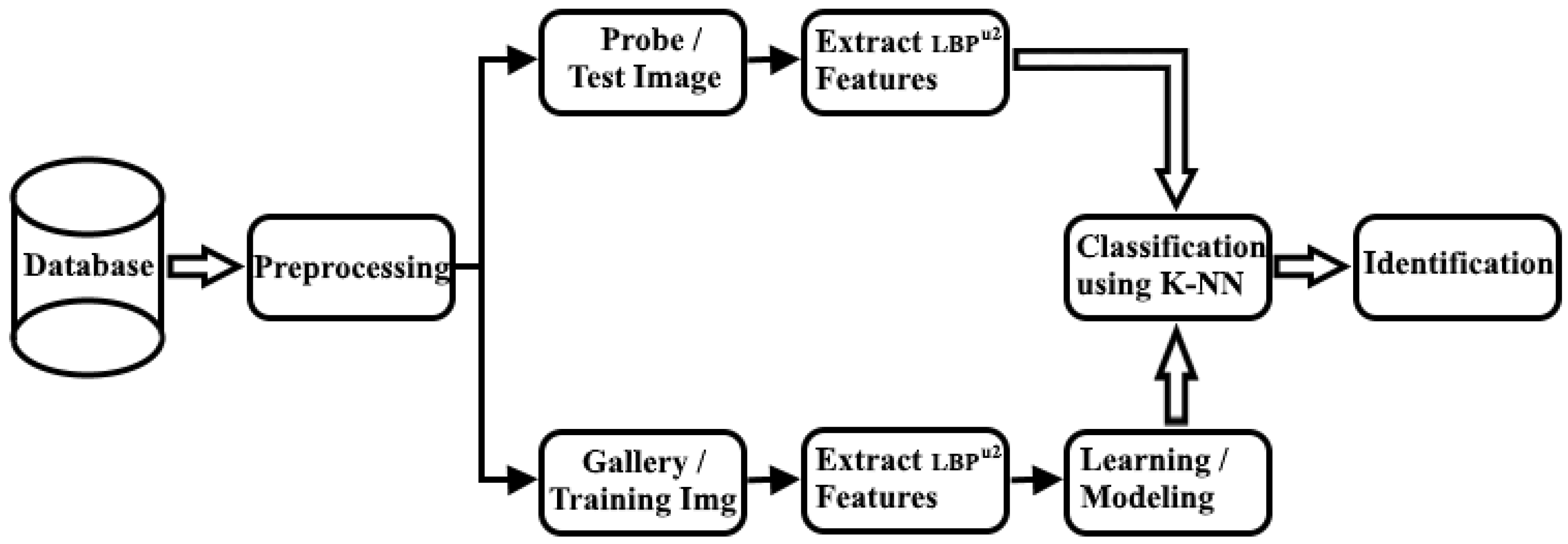 Enhancing Face Identification Using Local Binary Patterns and K-Nearest Neighbors