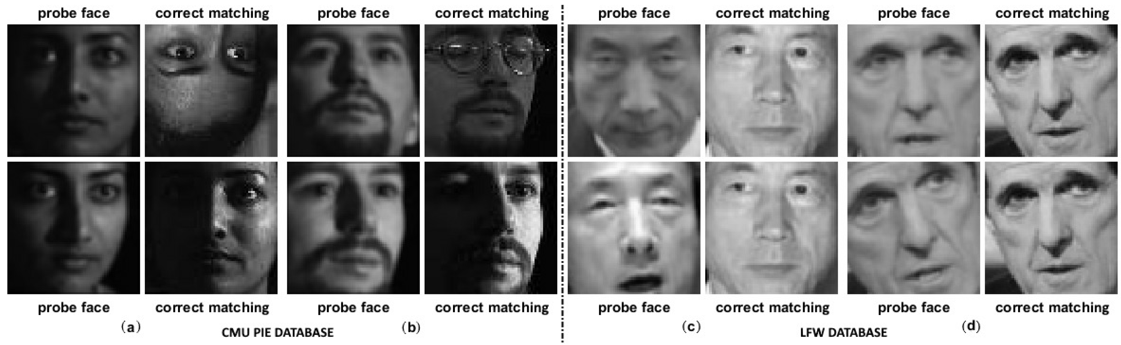 Enhancing Face Identification Using Local Binary Patterns and K-Nearest Neighbors