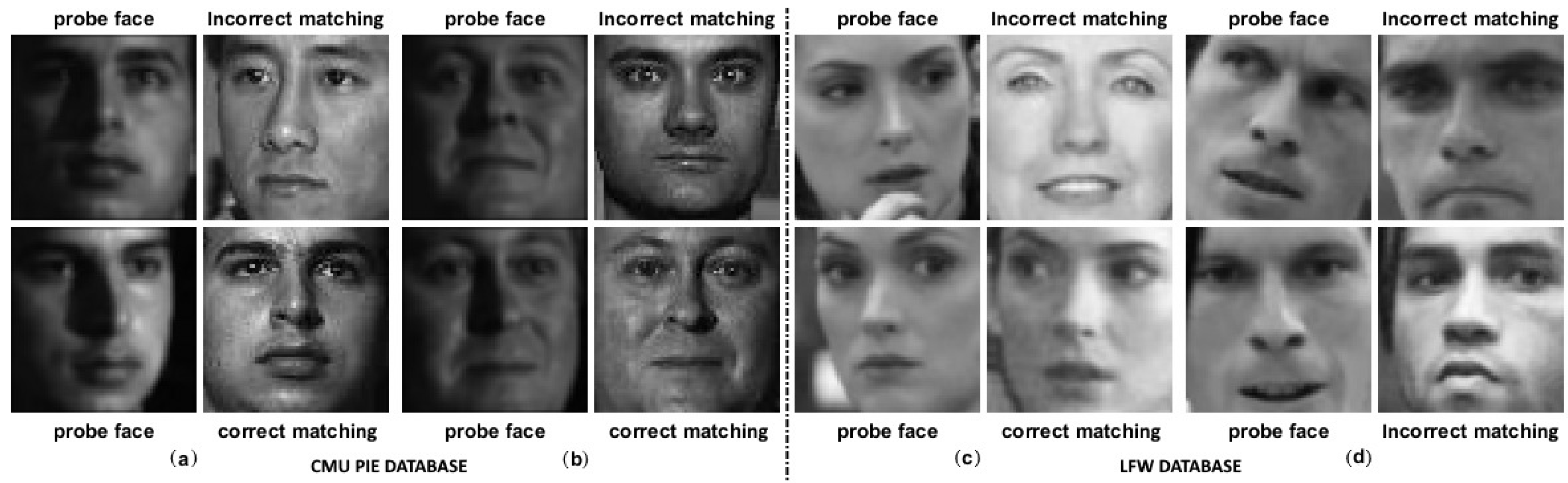 Enhancing Face Identification Using Local Binary Patterns and K-Nearest Neighbors