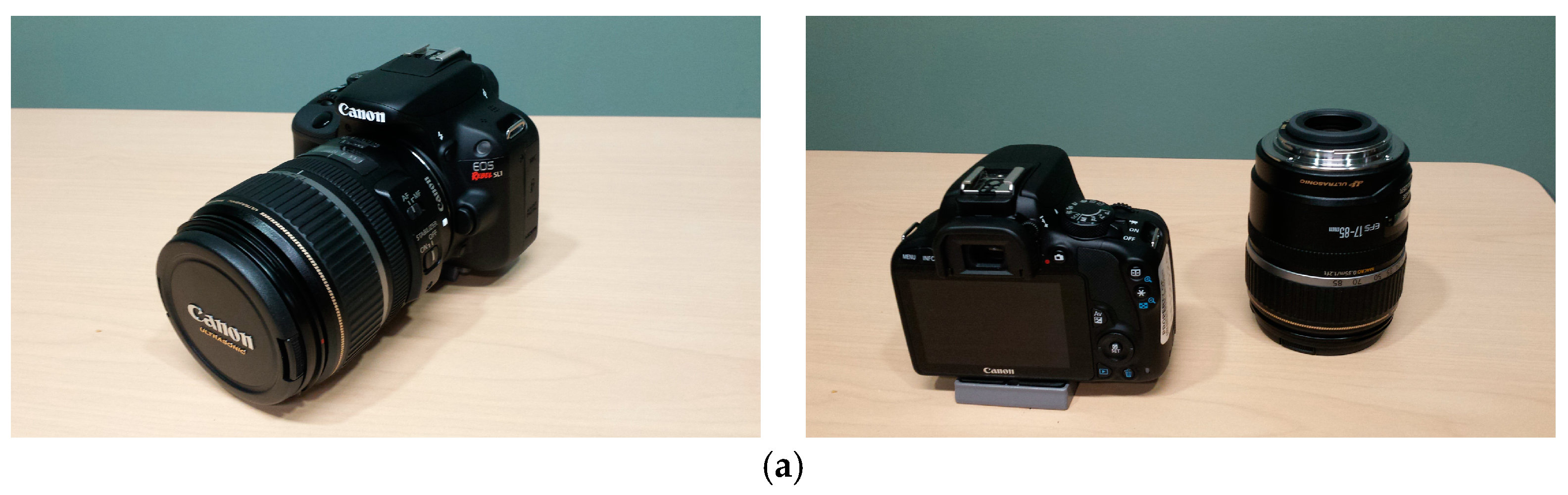 Novel Low Cost 3D Surface Model Reconstruction System for Plant Phenotyping