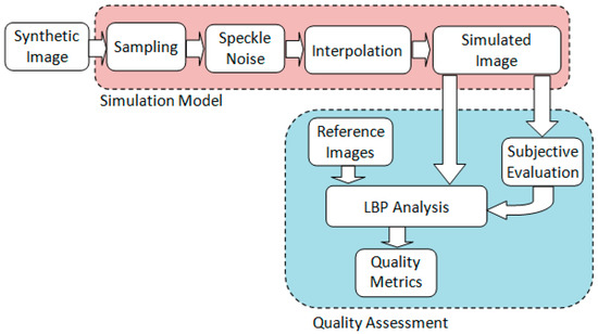 Texture Based Quality Analysis Of Simulated Synthetic Ultrasound Images Using Local Binary Patterns