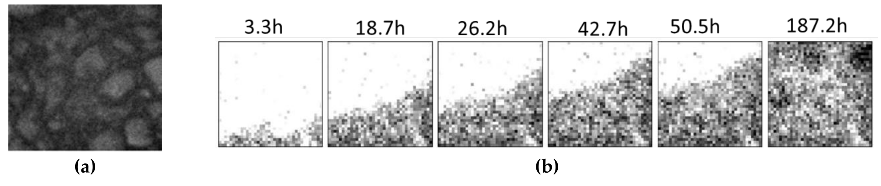 Neutron Imaging at Compact Accelerator-Driven Neutron Sources in Japan