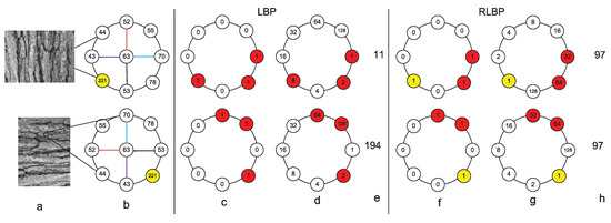 J. Imaging | Free Full-Text | On the Application LBP Texture ...