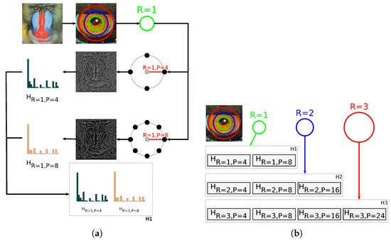 J. Imaging | Free Full-Text | On the Application LBP Texture ...