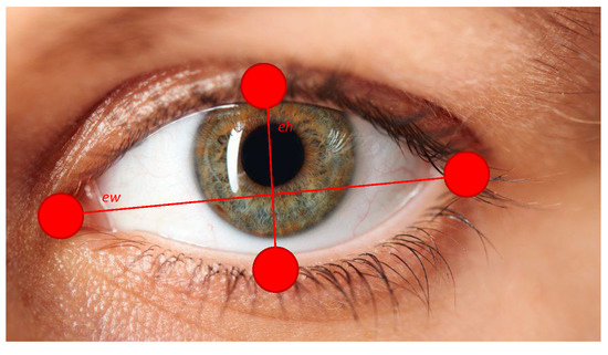 In the Eye of the Deceiver: Analyzing Eye Movements as a Cue to Deception