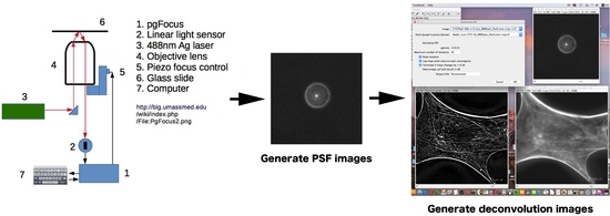 J. Imaging | Free Full-Text | Software-Based Three-Dimensional ...