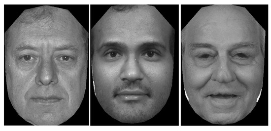 Evaluation of Automatic Facial Wrinkle Detection Algorithms
