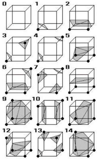 Marching Cubes and Histogram Pyramids for 3D Medical Visualization
