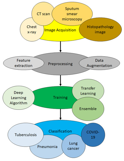 A Survey of Deep Learning for Lung Disease Detection on Medical Images ...