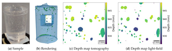 Emulation of X-ray Light-Field Cameras