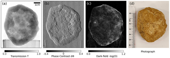 Comparison of Thermal Neutron and Hard X-ray Dark-Field Tomography