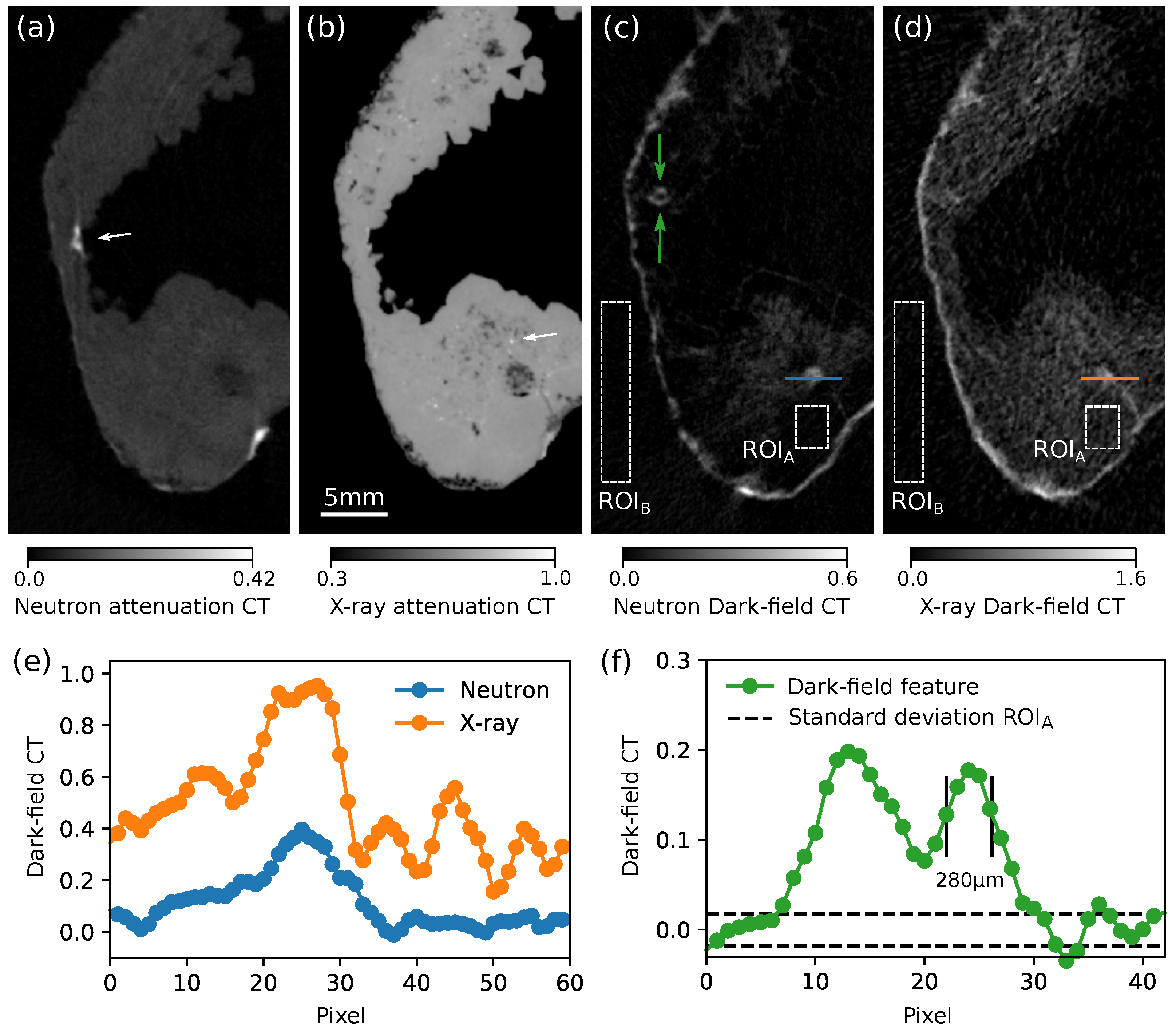 Comparison of Thermal Neutron and Hard X-ray Dark-Field Tomography