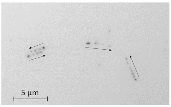 Neutron Imaging Using a Fine-Grained Nuclear Emulsion
