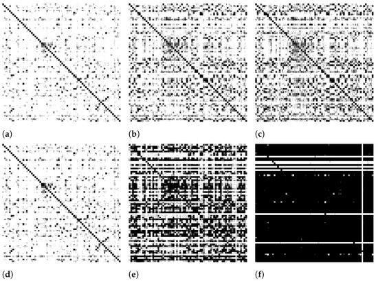 J. Imaging | Free Full-Text | Efficient Rank-Based Diffusion Process with Assured Convergence