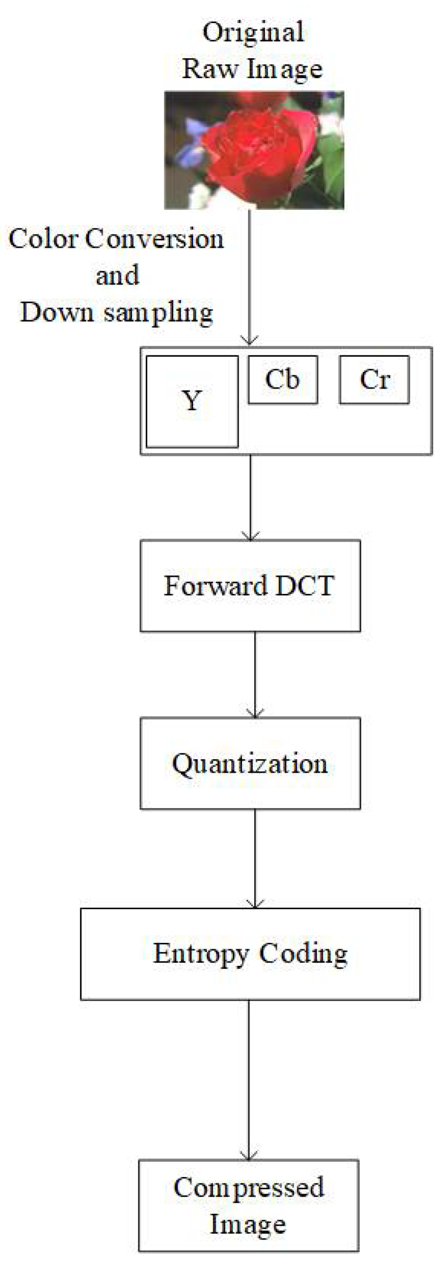 Improved JPEG Coding by Filtering 8 × 8 DCT Blocks