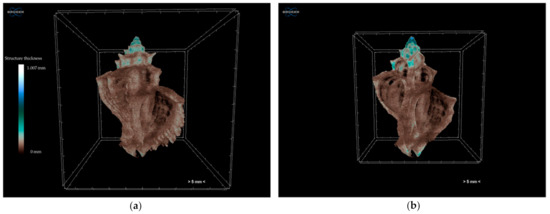 Micro-CT for Biological and Biomedical Studies: A Comparison of Imaging ...